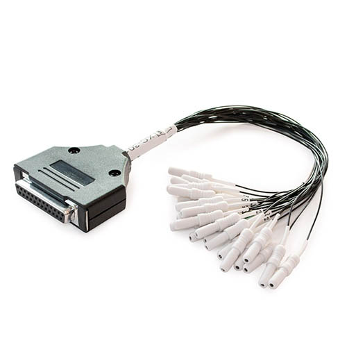Waveguard connect Adapter 21ch. | Other System Caps | EEG Hauben | EEG ...